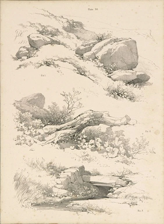 植物原画树原画来自cgbook.cn (1538)-花瓣网