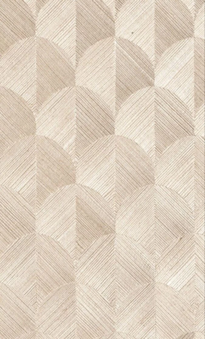 Pinlite-Pinterest中文极速版官网网站-花瓣网