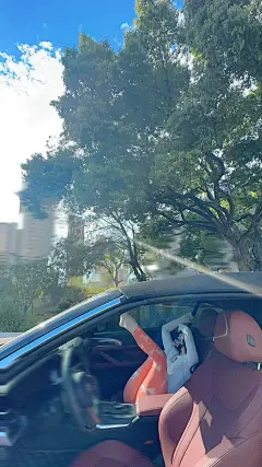 俏妞T图片大全-俏妞T高清好看的图片--花瓣_Ⅰ的画板