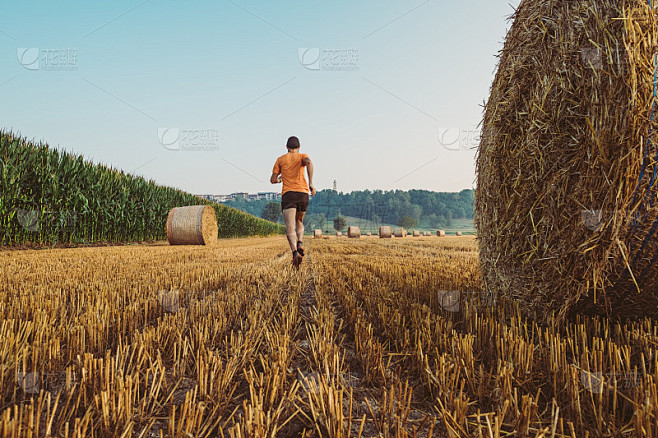 人们在乡间的麦田里奔跑