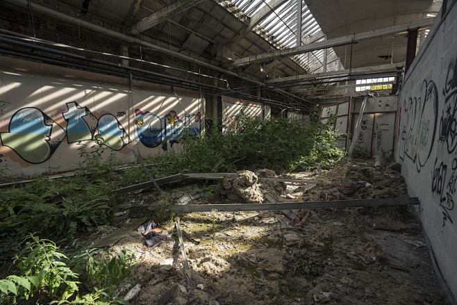 Overgrown Factory (279)