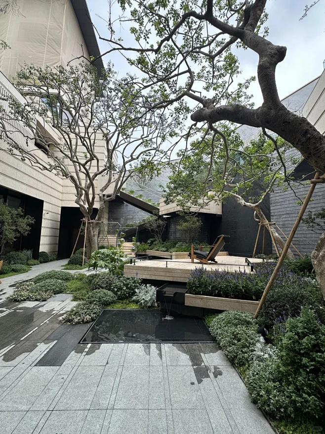 设计考察02沁百合让人着迷 - 小红书-花瓣网