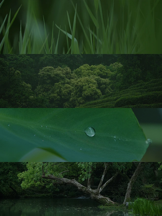 @砚冰-Yanbing 的个人主页 - 微博-花瓣网