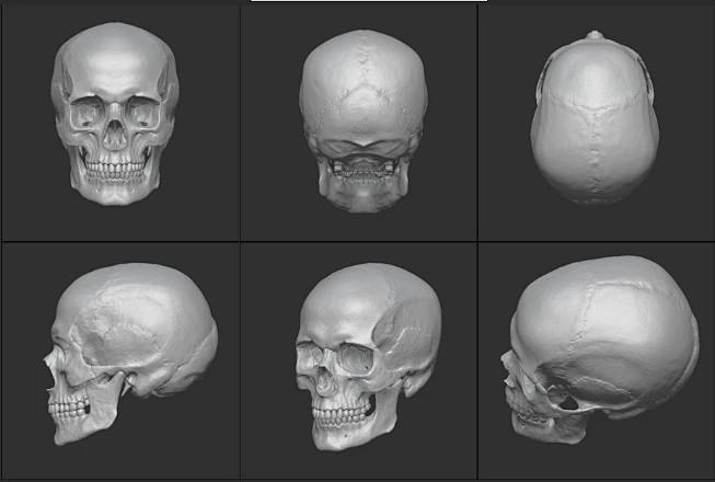 平常收集的基础裸模，各种风格的模型都有！-裸模-组件模型-3D模型,zbrush基础裸模,人体肌肉结构,写实人体,游戏影视,模型参考,微元素 - zbrush基础裸模,人体肌肉结构,写实人体 ...