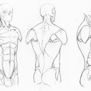 Random anatomy sketches 2 by *RV1994 on deviantART