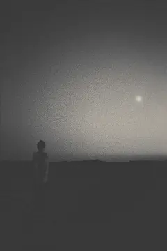 MEIUT图片大全-MEIUT高清好看的图片--花瓣kamacliff的画板