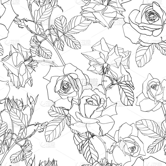 hand drawn line roses flowers pattern