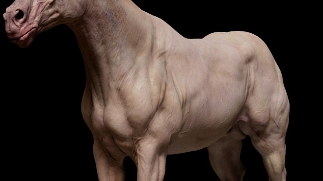 greg-strangis-horsewipweek6-3