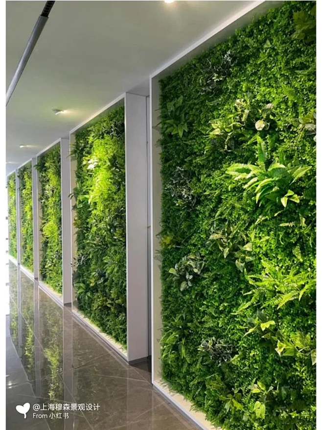 绿植墙||苔藓墙 室内造景 视觉盛宴～-花瓣网