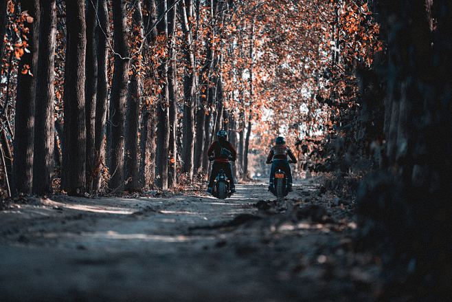 journey-man-1348665-unsplash