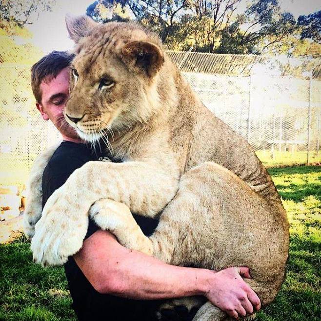 _storage_emulated_0_sina_weibo_weibo_img-0ed0245688bac3450e0d1ce8b143c751