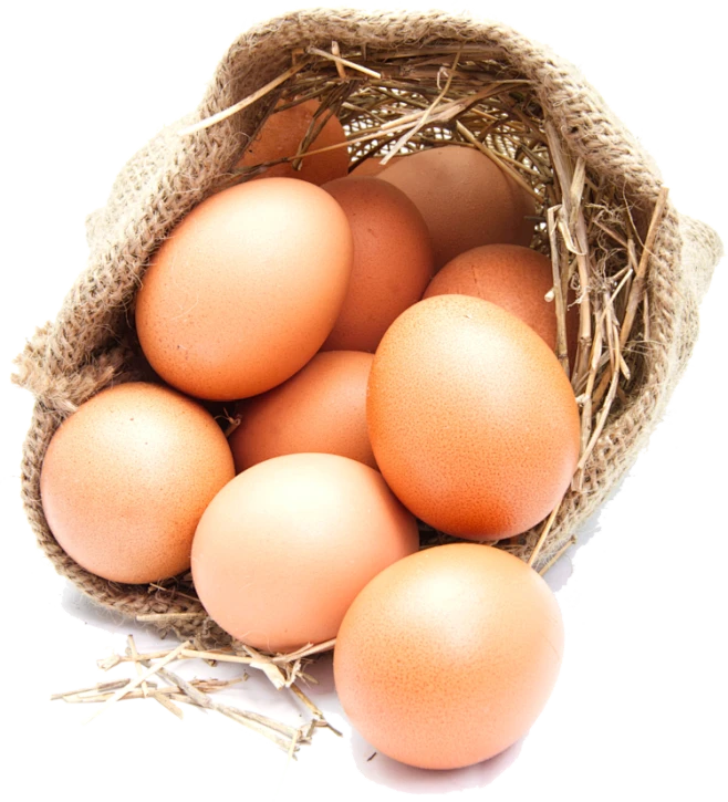 鸡蛋图片草鸡蛋PNG免抠素材 鸡蛋-花瓣网