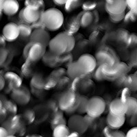 GSG_Gobos_Caustics_Caustics_03_thumb