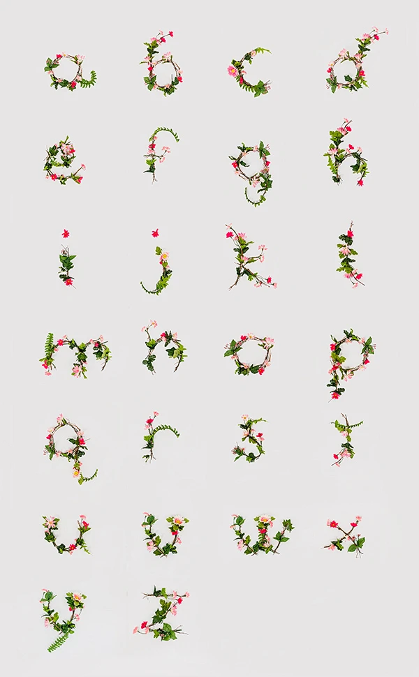 photographic alphabet of flowers! #采集大赛#-花瓣网