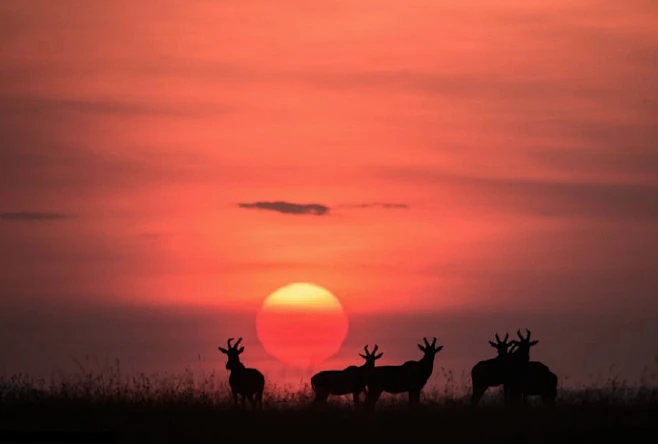 Paul Goldstein Photography-花瓣网