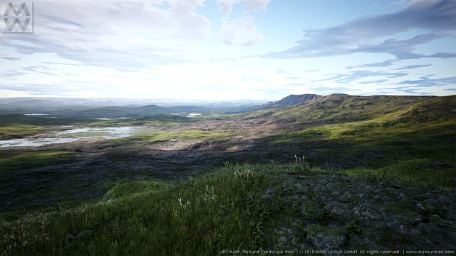 UE4 Wetland Landscape-花瓣网