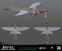 B 生物 坐骑-花瓣网|陪你做生活的设计师 | Ruins Dragon