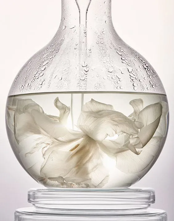 (13) Pinterest-花瓣网