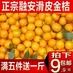 融安金桔图片_360图片-花瓣网