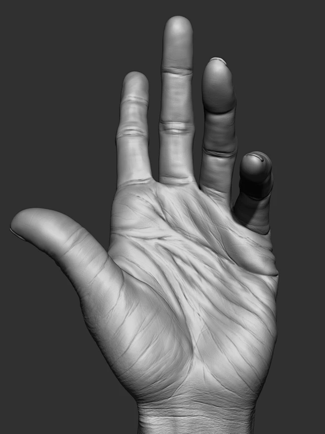 Hand Study : Sculpt-花瓣网
