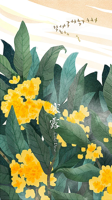 24节气_马炯_68Design图片_插画24节气图片素材-花瓣网