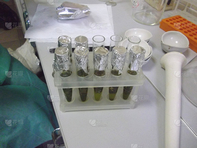 管与试验材料，实验室研究概念