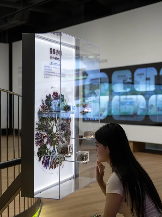 理想之地-新新所展厅 | 直径叙事设计-花瓣网