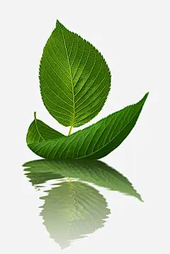 sdafaSD图片大全-sdafaSD高清好看的图片--花瓣希希嘻嘻嘻嘻的画板