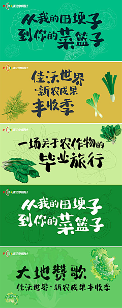 QNMD PPT呀-花瓣网|陪你做生活的设计师 | 川观新闻