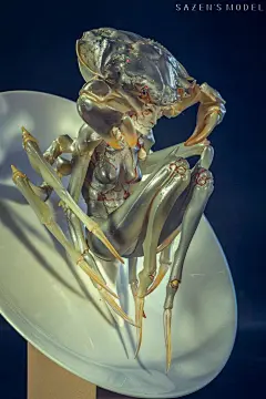 Samurai Character concept-花瓣网