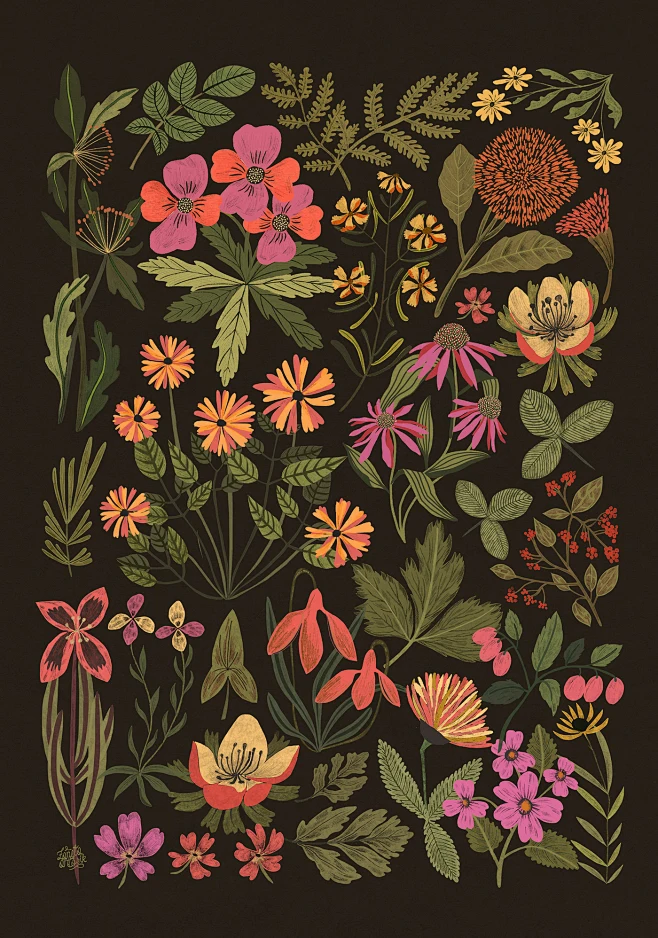 botanical art botanical illustrations Drawing flowers Flowers flowers ...