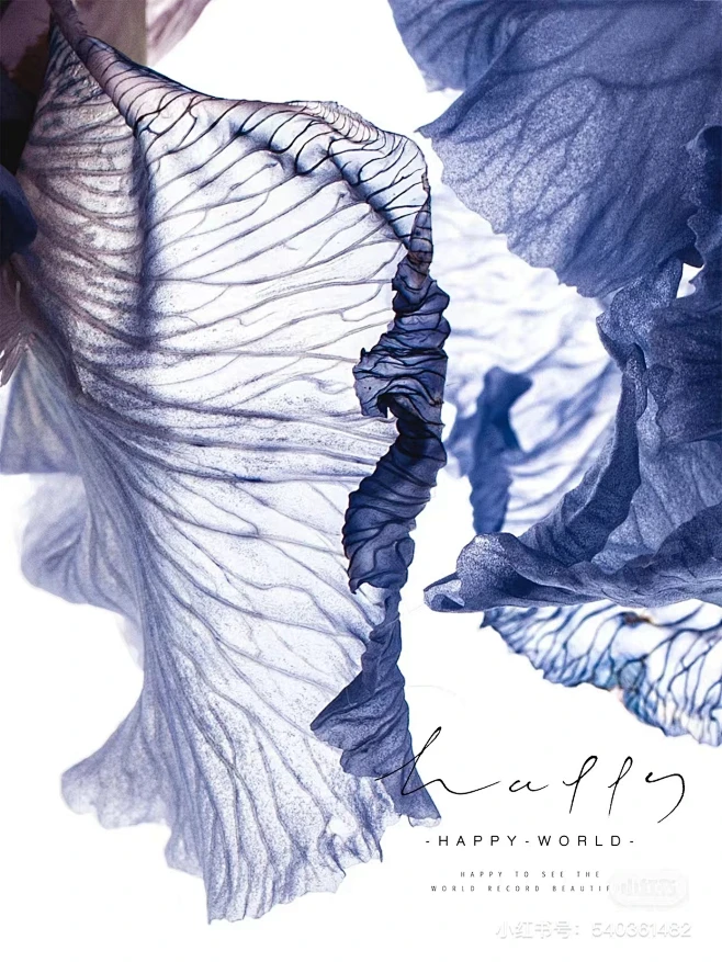 微信图片_2022080721423210-花瓣网