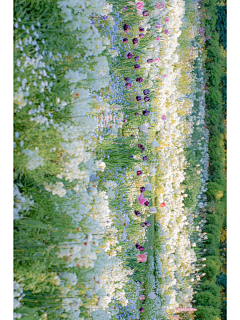 PPT | 底图、配图-花瓣网|陪你做生活的设计师 | image