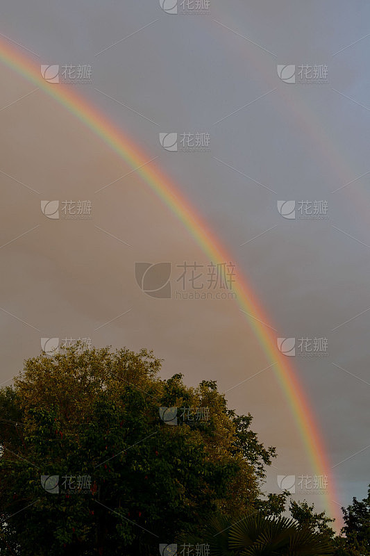 暴风雨后的彩虹