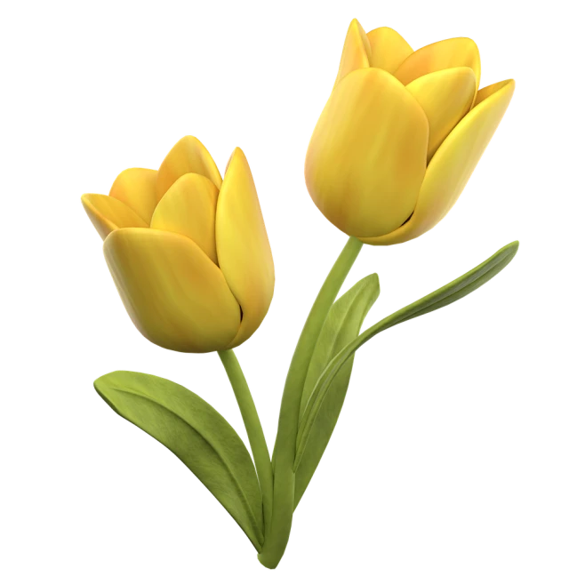 Tulip 3D Icon - Free Download Nature 3D Icons | IconScout-花瓣网