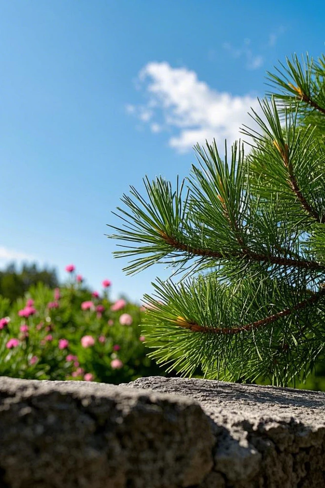 previewImag-花瓣网