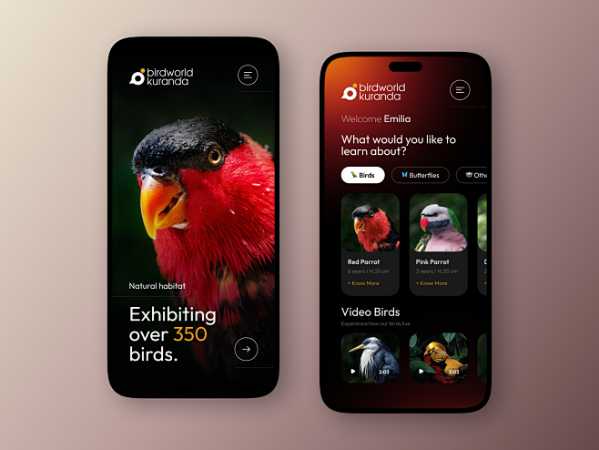 App Bird World by Angel Villanueva for Orizon UIUX Design Agency