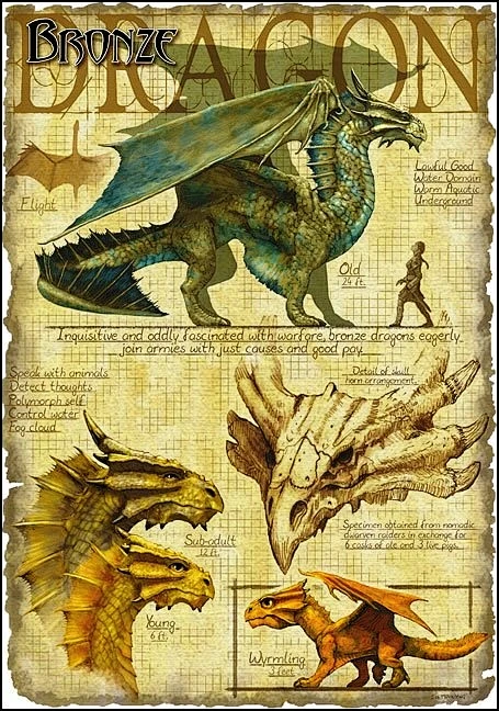 Bronze Dragon-花瓣网