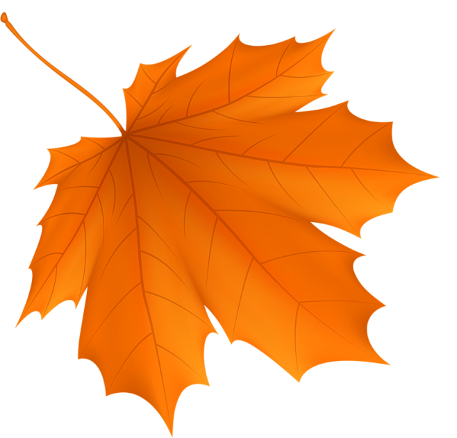 卡通秋天橙色枫叶