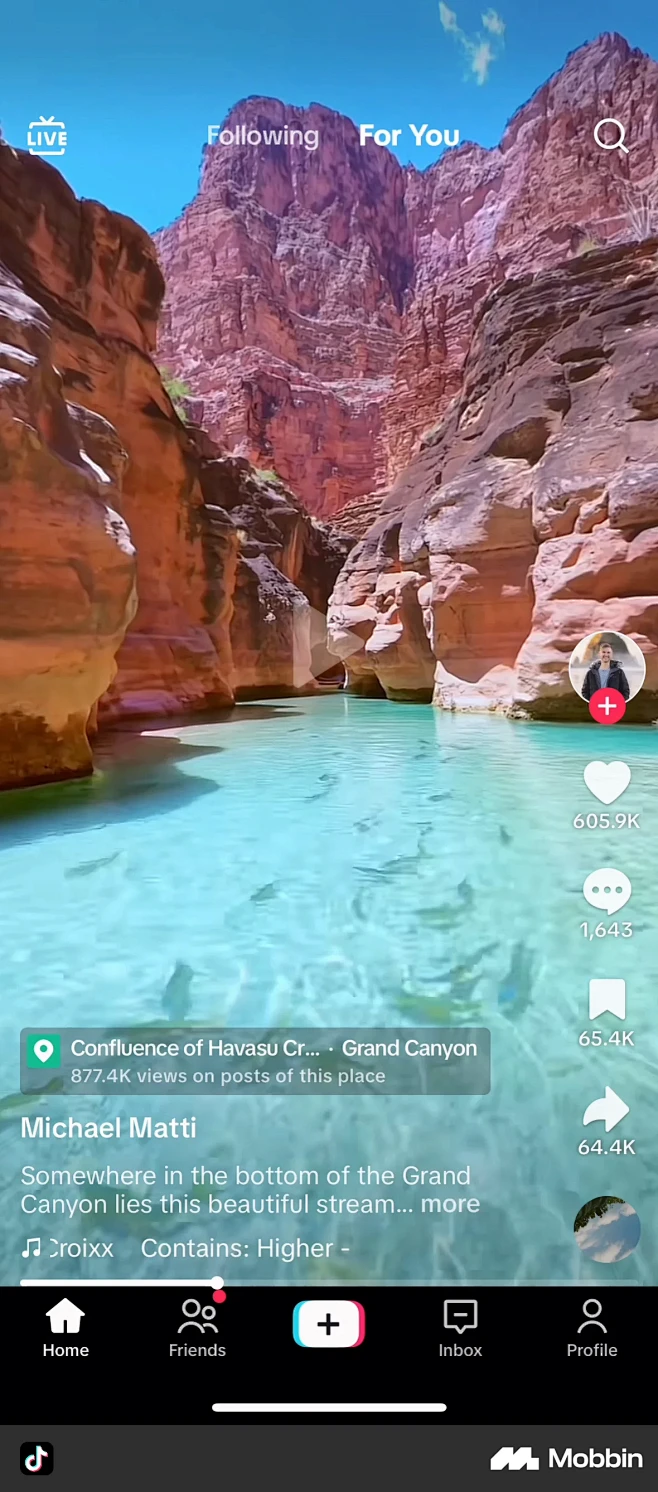 TikTok screen-花瓣网