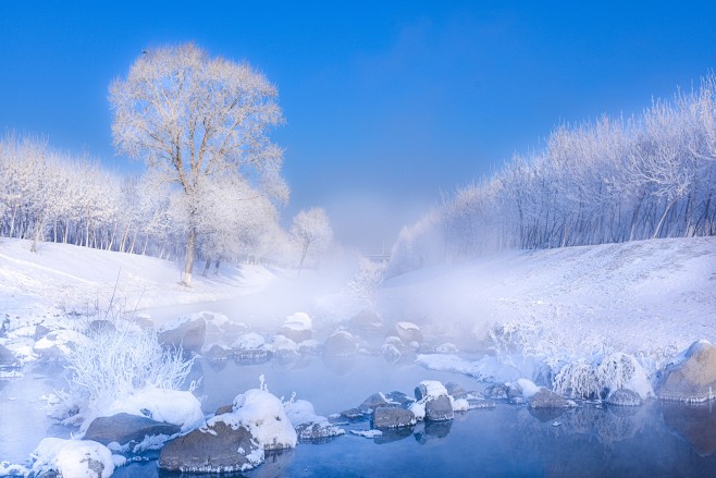 哈尔滨雾凇_风景_POCO摄影