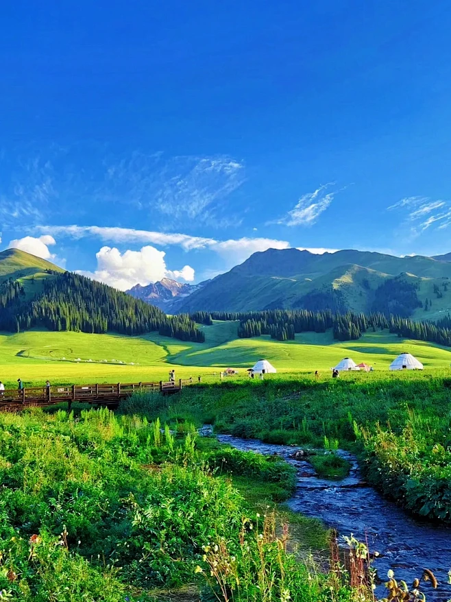 新疆已回，有些话不知道当不当讲... - 小红书-花瓣网