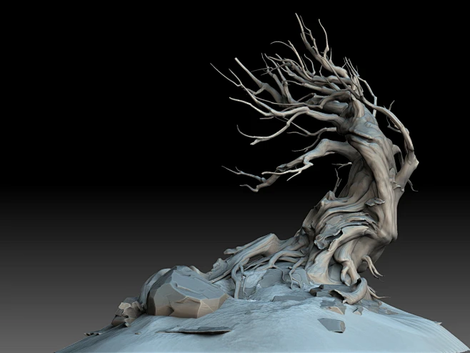 Tree practice-花瓣网