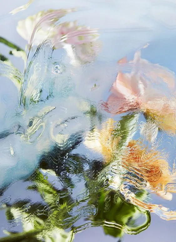 (39) Pinterest-花瓣网