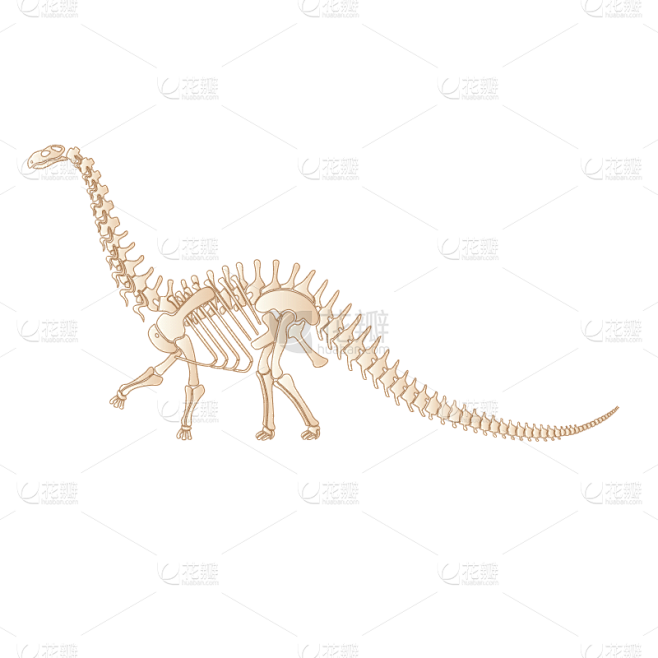 手绘-恐龙元素-恐龙化石