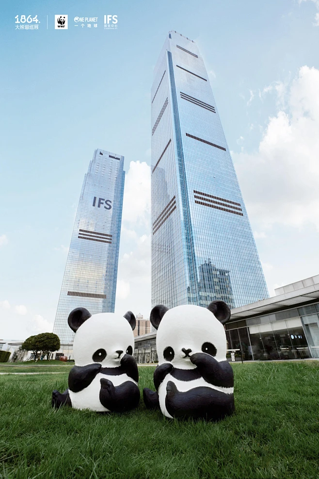 长沙IFS 1864大熊猫巡展-花瓣网