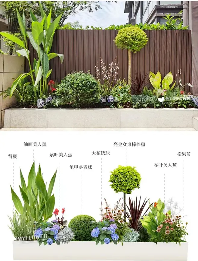 Screenshot_20230917_175101-花瓣网