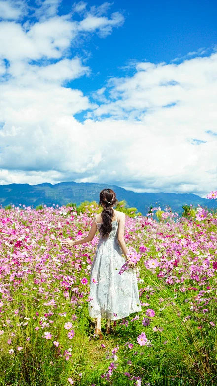 微博搜索-花瓣网