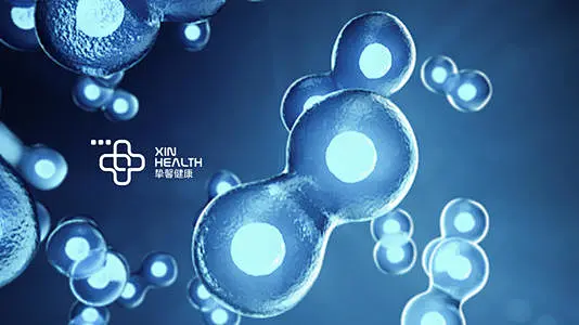 抽象细胞分裂_百度图片搜索-花瓣网