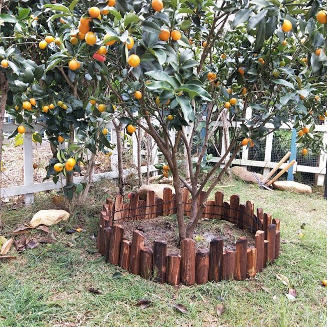 701c65d1-ba06-4a6d-a224-f9a816f7e058